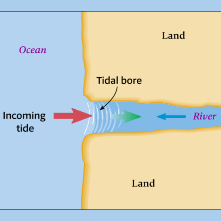 We explain tidal bores - AllWaves